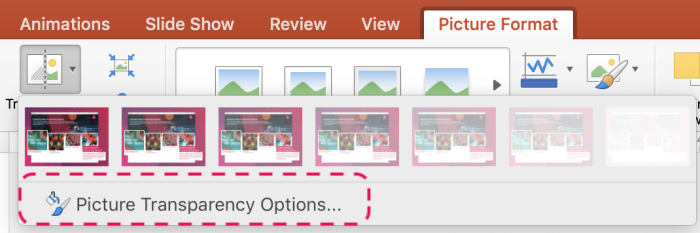 How To Make A Picture Transparent In PowerPoint 2023 how-to-make-a-picture-transparent-in-powerpoint-2023